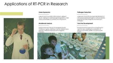 Mastering Rt Pcr Optimization Techniques For Real Time Polymerase Chain Reaction Success Ppt