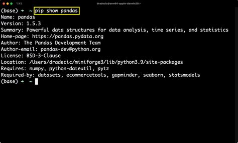 Pip Install Specific Version How To Install A Specific Python Package