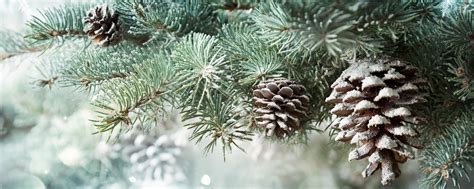 Ватные игрушки и куклы "Снежинки тепла". | Добро пожаловать в волшебный ...