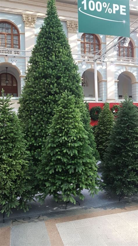 Большая елка Русская красавица премиум купить в интернет магазине Elka24.ru