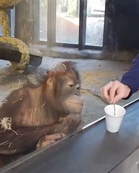 Laxman Singh On Linkedin “keep Smiling Because Life Is A Beautiful