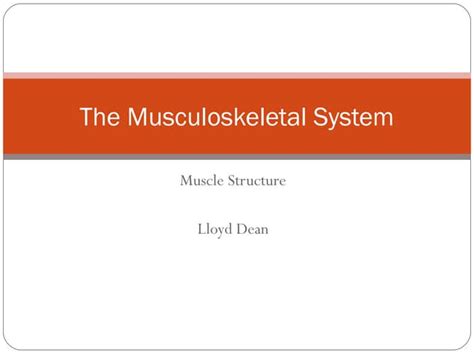 Muscle Structure And Function Ppt Biological Sciences Science