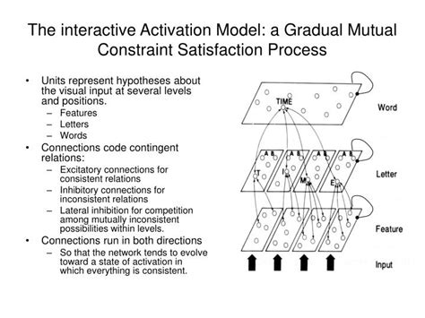 PPT Cognition And Perception As Interactive Activation PowerPoint Presentation ID