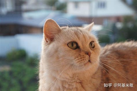 spring 如何扫描自定义注解 知乎