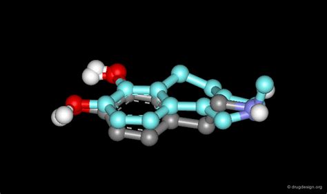 3d Database Searching Drug Design Org