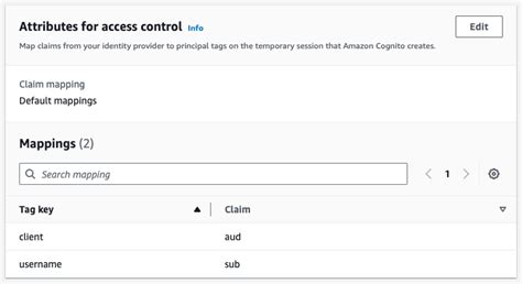Access Control In Multi Tenant Saas Applications