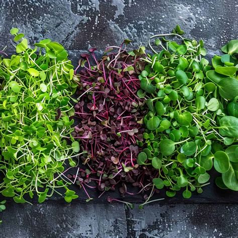 How Long Do Dried Lentils Last Essential Storage Tips