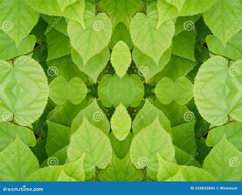 Beautiful Colourful Repeat Pattern Of Leaves Foliage And Natural