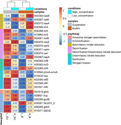 Heatmap Of Proportions Of The Key Functional Genes In Suspension And