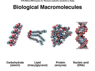 Forming Macromolecules