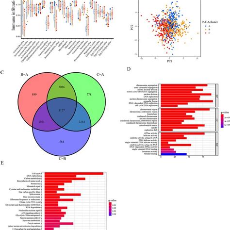 Tme Immune Cell Infiltration And Transcriptome Characterization In Download Scientific Diagram