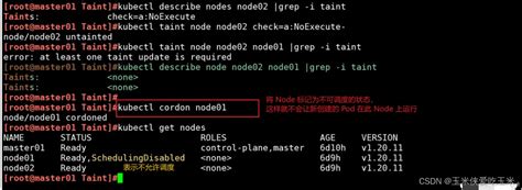【kubernetes】关于k8s集群的污点、容忍、驱逐以及k8s集群故障排查思路 阿里云开发者社区