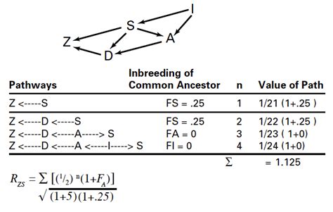 Inbreeding In Swine Pork Information Gateway