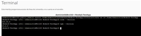 Cómo utilizar Node js en tu propio servidor cPanel NodeJS Manager WNPower Help