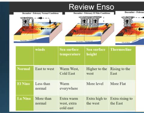 Midterm 2 Flashcards Quizlet