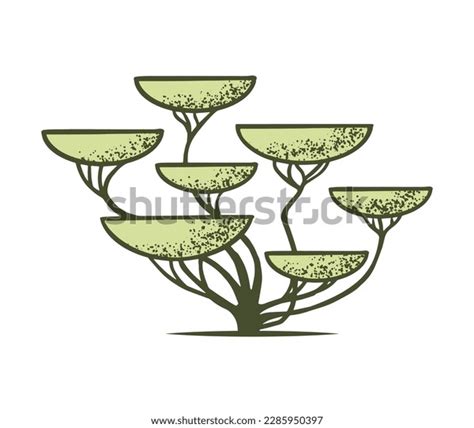 Sketch Topiary Coniferous Trees Sheared Thuja Stock Vector Royalty