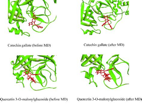 Comparing Between Initial And Final Structures Of The Complexes