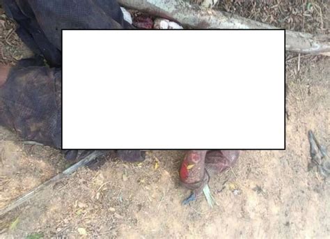 မိုးမောက်မြို့ပေါ်ရှိ လူနေရပ်ကွက်ကို စစ်ကောင်စီတပ်က တိုက်လေယာဉ်ဖြင့် ဗုံးကျဲမှု ပြည်သူ ၄