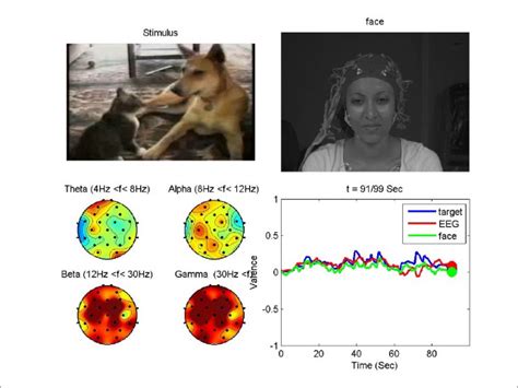ihp lab research