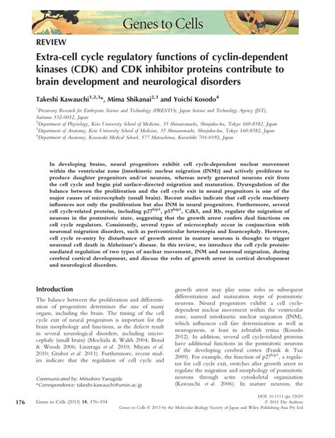 Pdf Extra Cell Cycle Regulatory Functions Of Cyclin Dependent Kinases Cdk And Cdk Inhibitor