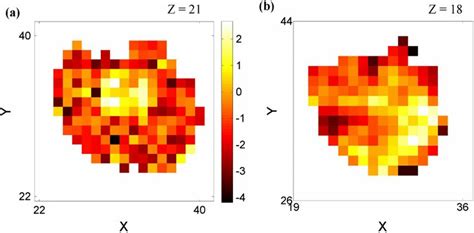 Comparison Of Simulated And Real FMRI Data Showing Realism Of Synthetic Download Scientific