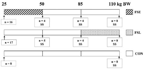 Schematic Representation Of The Experimental Design Feed Intake Was Download Scientific
