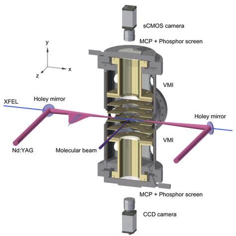 Pdf Photoelectron Diffraction From Laser Aligned Molecules With X Ray Free Electron Laser Pulses