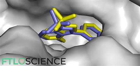 Molecular Docking Bioinformatics In Drug Discovery Ftloscience