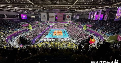 해외에서도 V리그 보자 Kovo 지애드스포츠와 프로배구 중계 해외 송출