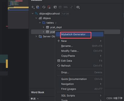Idea插件：mybatisx快速生成数据表接口实体类与mapperxml映射文件idea Mapper映射插件 Csdn博客