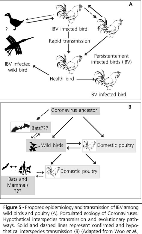Intergenic Sequence Semantic Scholar