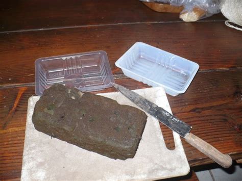 Easily Root Flower And Tree Cuttings ThriftyFun