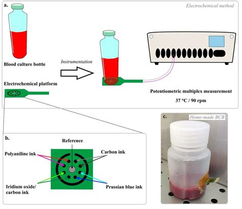 A Schematic Representation Of The Implementation Of A Multi Material Download Scientific