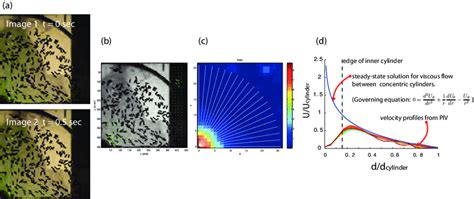 figure a 20 image analysis process a images used for piv analysis