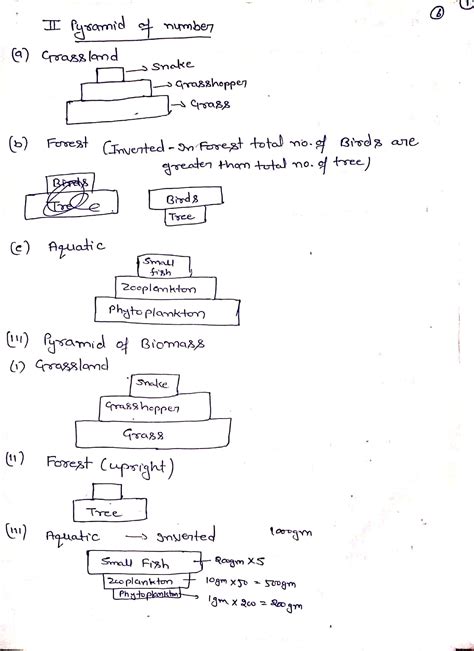 Ecosystem Notes Studypur