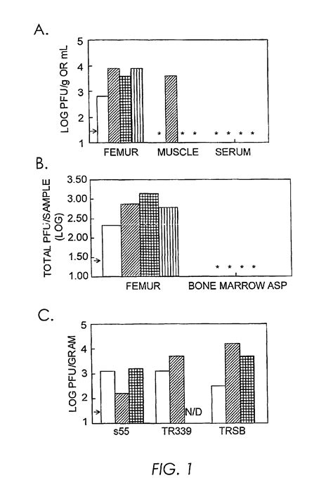 Vectors Derived From South African Arbovirus No 86 Eureka Patsnap
