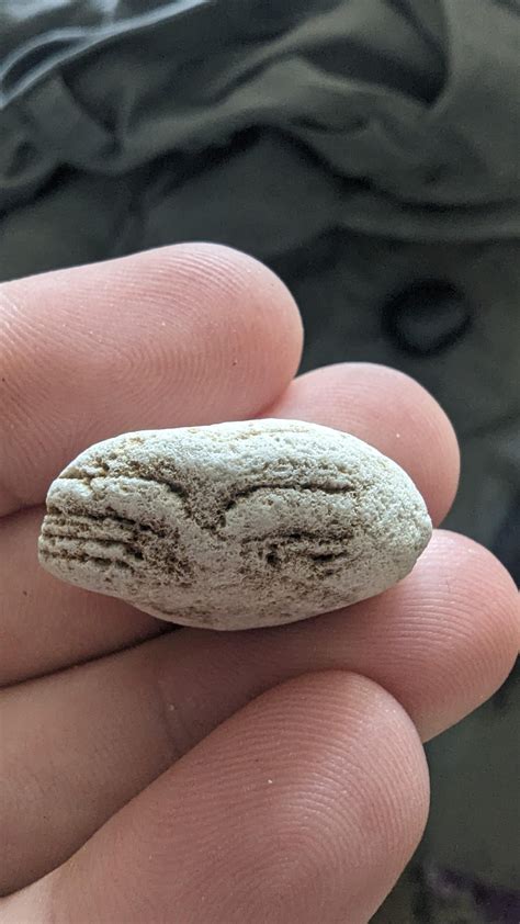 West Mi Fossil Id R Fossils
