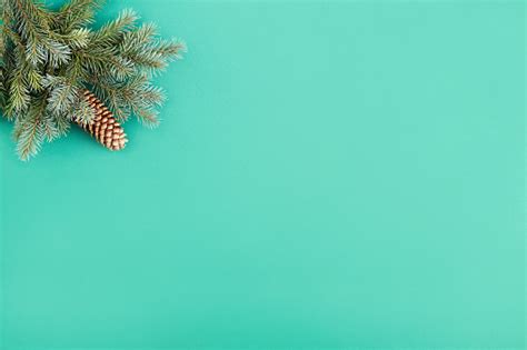 녹색 배경에 원뿔이 있는 전나무 가지입니다 새해 복 많이 받으세요 또는 크리스마스 인사말 카드 나뭇가지에 대한 스톡 사진 및 기타 이미지 Istock