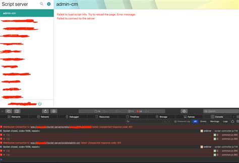 WebSocket Is Closed Before The Connection Is Established Issue 213 Bugy Script Server GitHub