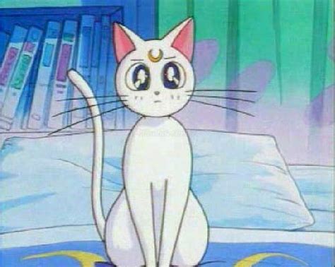 Artemis • Sailor Moon • Absolute Anime