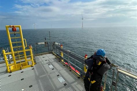 Ai Powered Bird Monitoring At Offshore Wind Farms Shows Promise