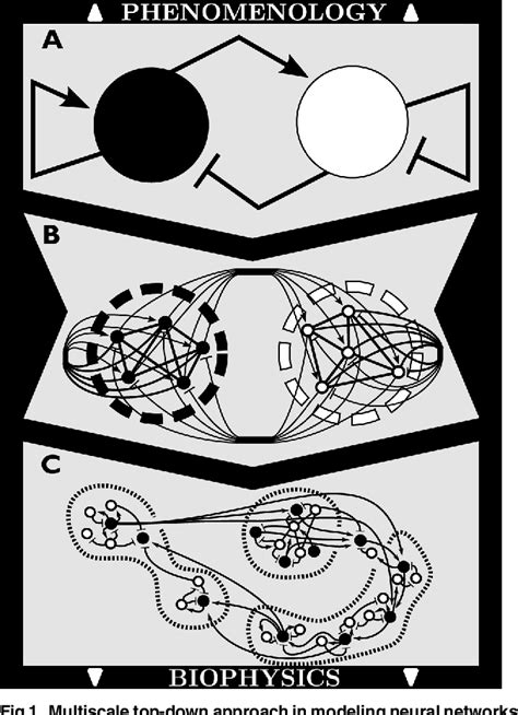figure 1 from computational modeling of seizure dynamics using coupled