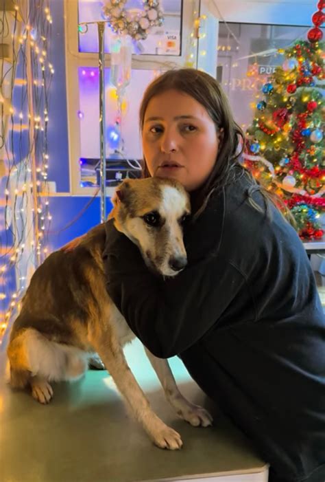 ცხოველთა გადარჩენის ცხოველთა გადარჩენის სახალხო ფრონტი