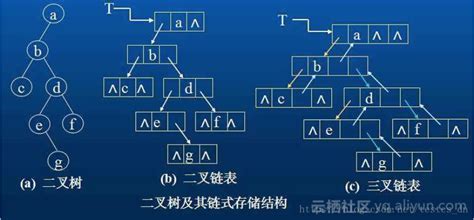 程序员普遍都缺乏数据结构和算法知识？你怎么看？ csdn博客