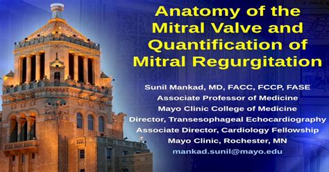 Download Pdf Anatomy Of The Mitral Valve And Quantification Of Mitral Wordpress