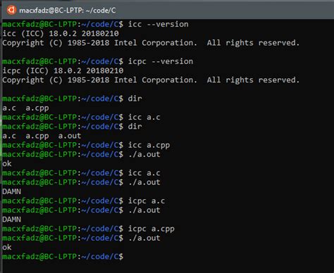 Cannot Invoke Intel Cc Compiler From Windows10 Subsystem Linux Wsl
