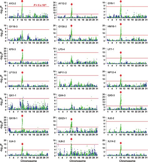 Qtl Mapping Of Nonrecessive Resistance To Cry1ac In 21 H Armigera Download Scientific Diagram