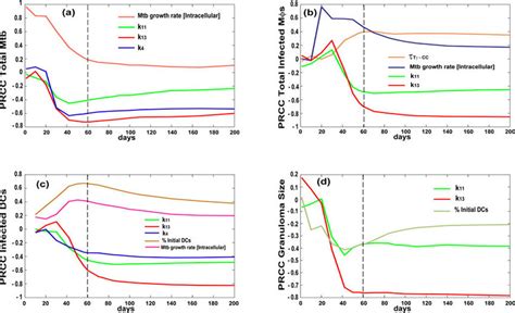 Time Courses For Partial Ranked Correlation Coefficient Prcc Of Download Scientific Diagram