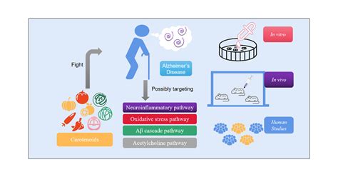 Natural Carotenoids As Neuroprotective Agents For Alzheimers Disease