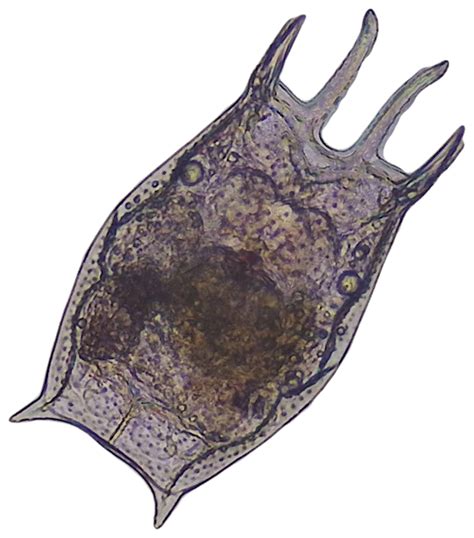 Who We Are Hampton Lab